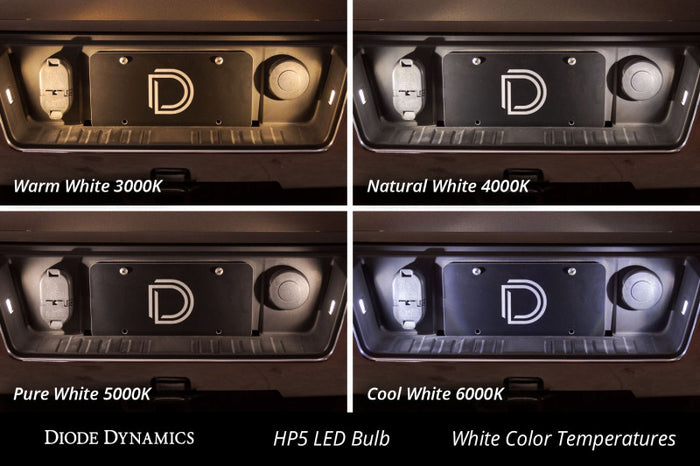 Diode Dynamics 194 LED Bulb HP5 LED Natural - White (Pair ...